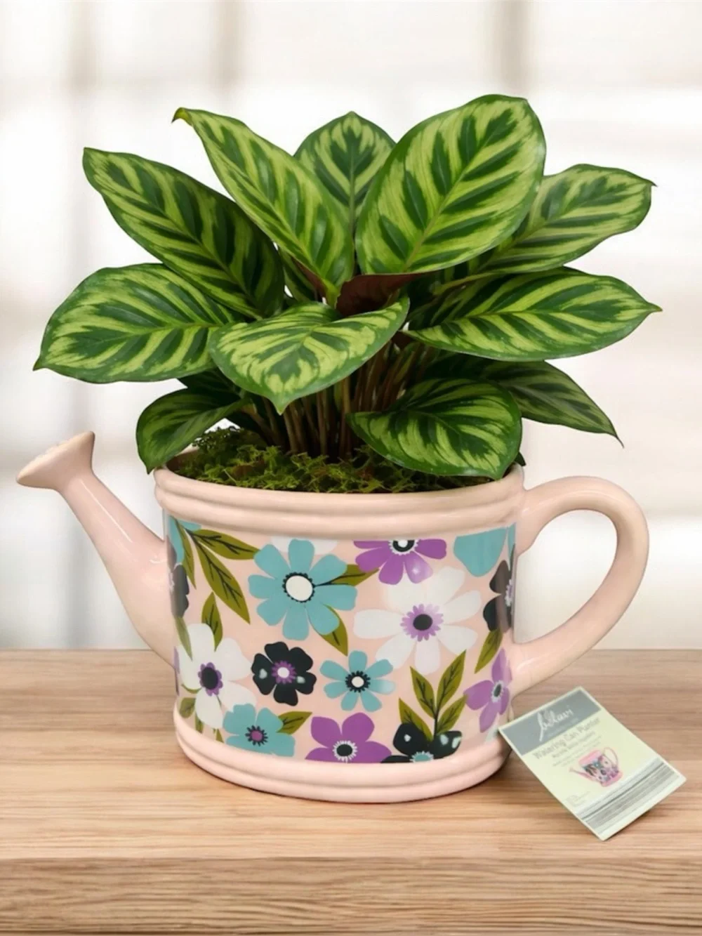 Belavi | Accents | Belavi Floral Watering Can Planter | Poshmark